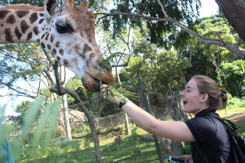 Entebbe Zoo (Uganda wildlife Education Centre)
