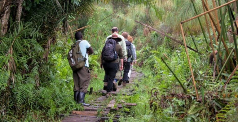 Bigodi Wetland Sanctuary - Amakula African Safaris | Uganda Safaris ...